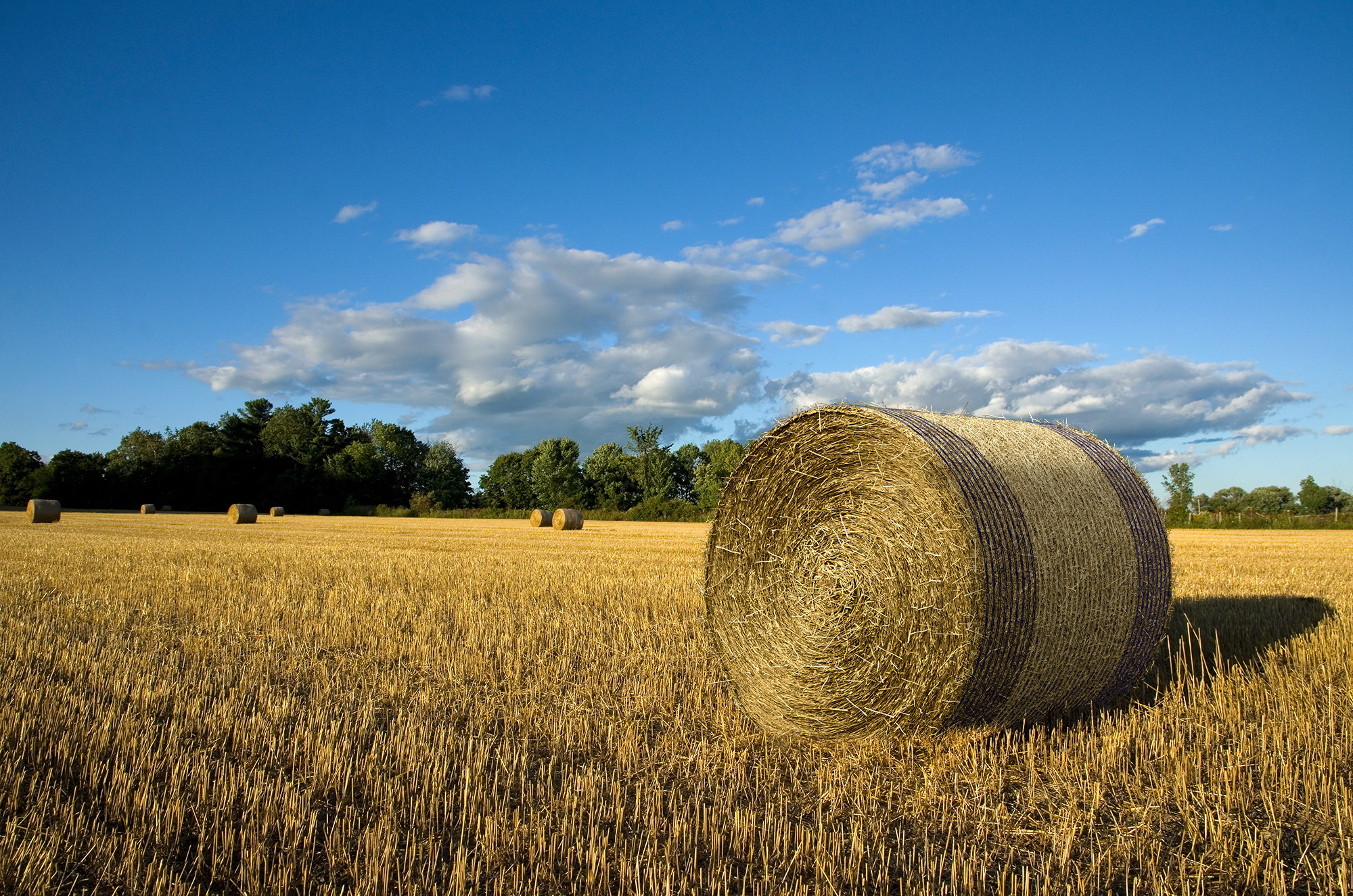 Easynet - The latest-generationlightweight-net wrap - Committed AG